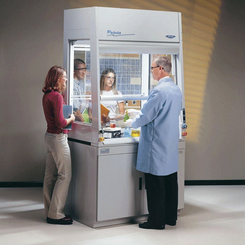 Canopy Hoods - Molave Trading